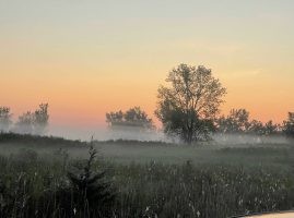 Events for January 2026 – BNA | Bong Naturalist Association